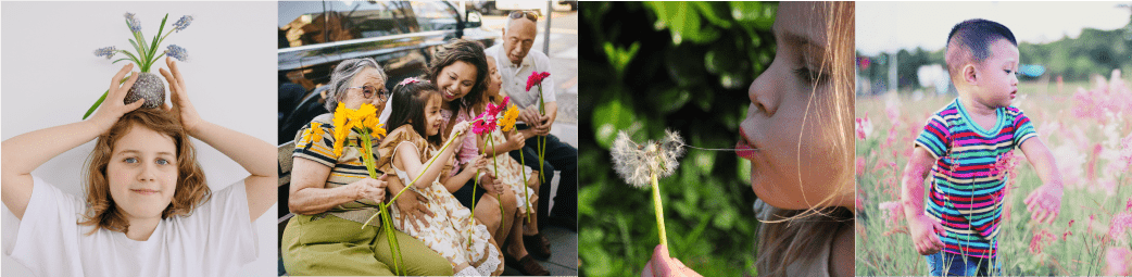 Home | The Magnolia Resource